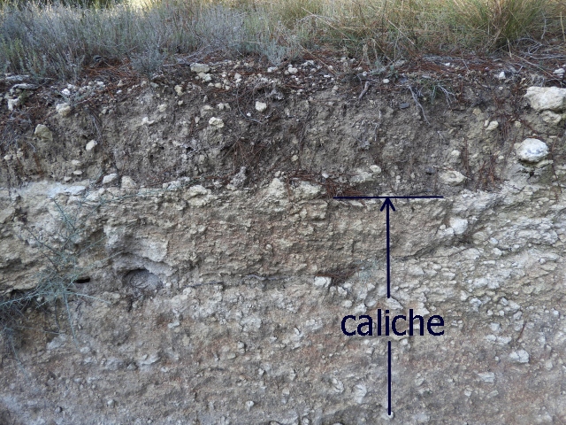 Caliche – El medi natural del Bages i del Moianès